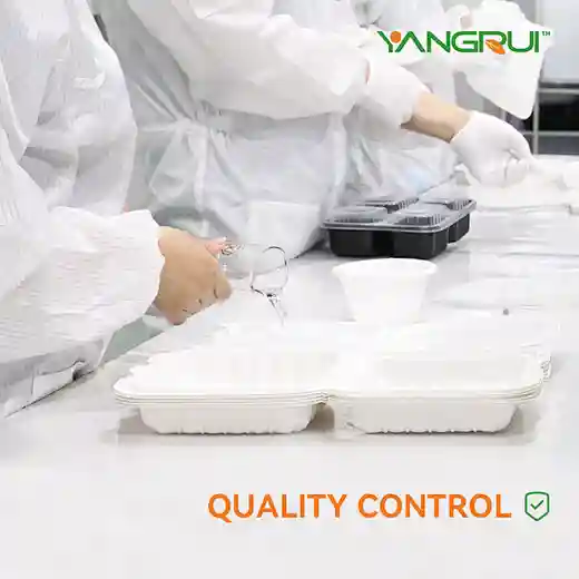 yangrui 40oz Transparent Box - clear bento box and square bento box ...